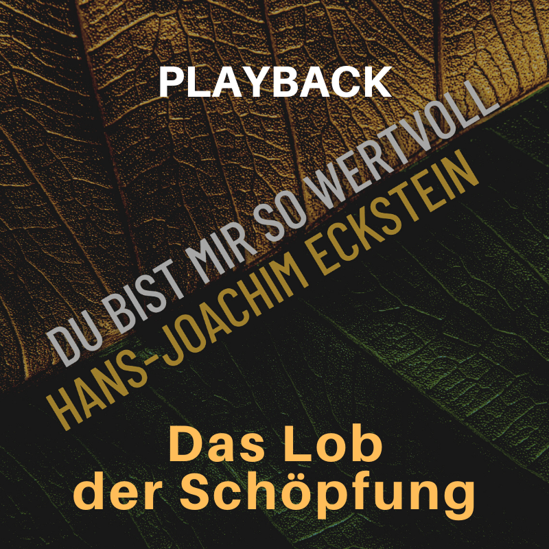 PLAYBACK instrumental Das Lob der Schöpfung – Ecksteinproduction